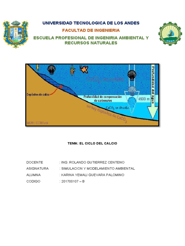 Ciclo Del Calcio | PDF | Calcio | Caliza