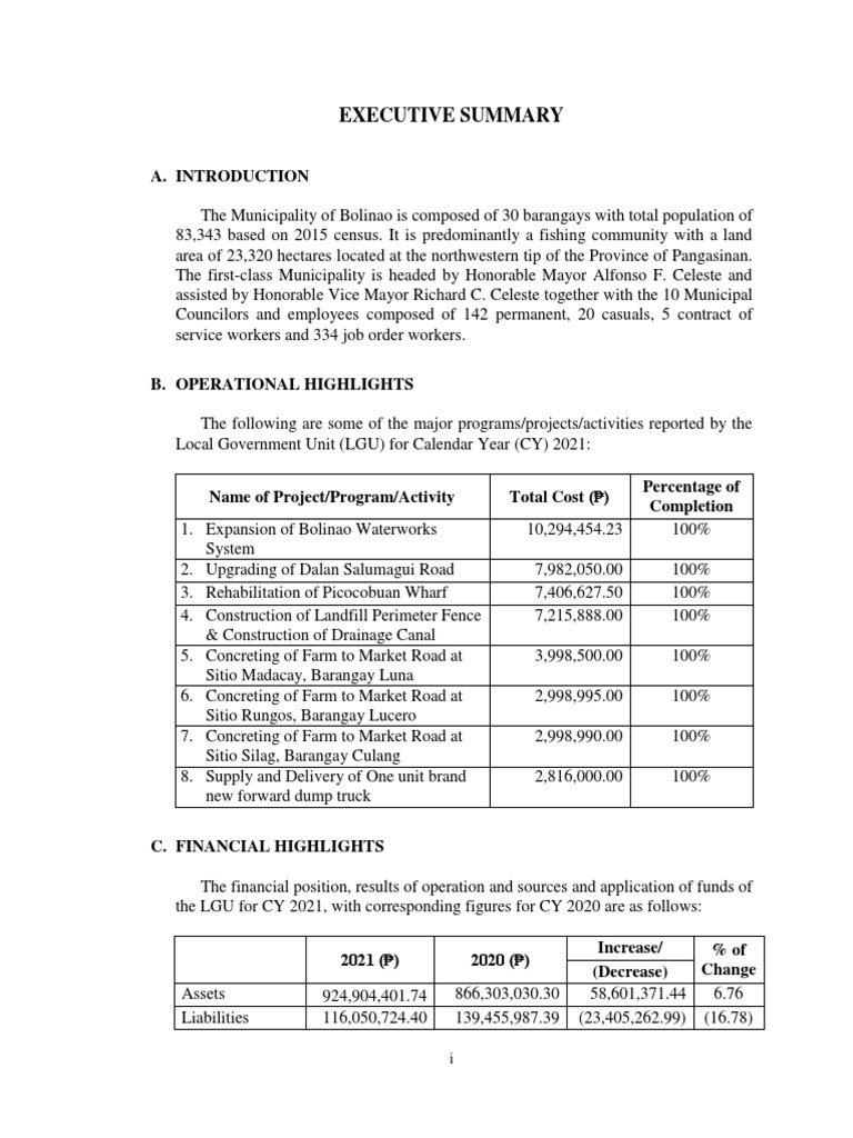 Bolinao Executive Summary 2021 | PDF | Financial Statement | Audit