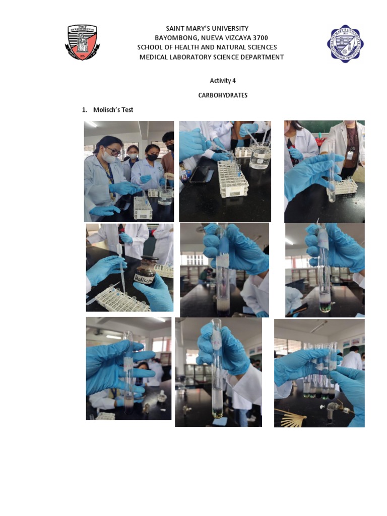Carbohydrate Lab Tests Molisch Seliwanoff Benedict | PDF