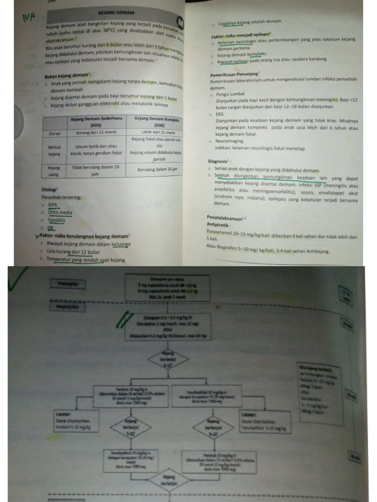 Kejang Demam (4A) | PDF
