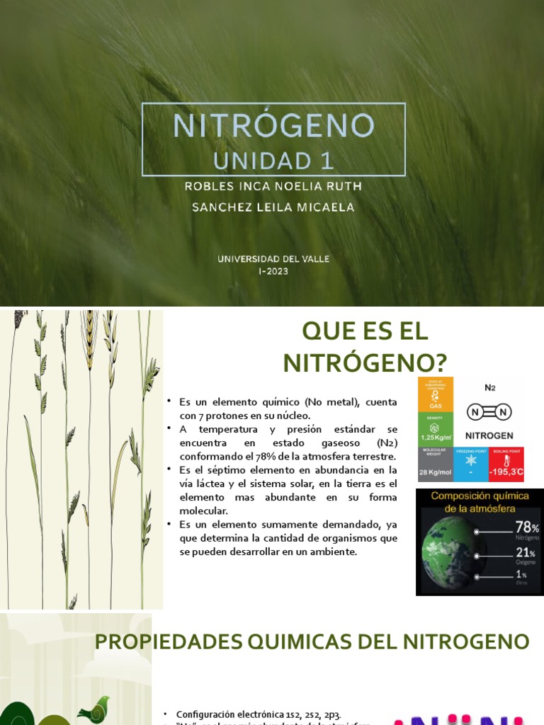 NITROGENO Exposición | PDF | Nitrógeno | Compuestos químicos
