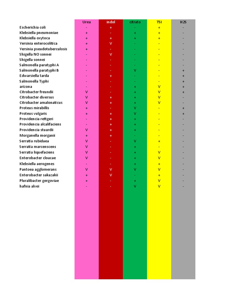 Tabla Enterobacterias | PDF | Bacteria | Gram Negative Bacteria