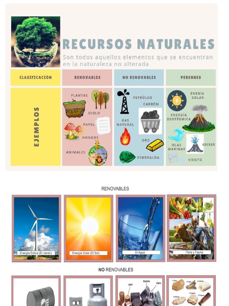 Recursos Naturales | PDF