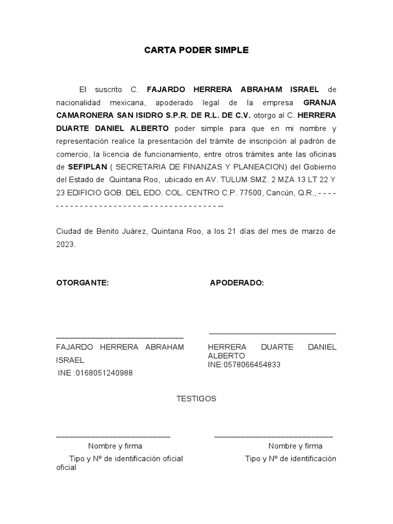 Carta Poder Simple para Trámites | PDF