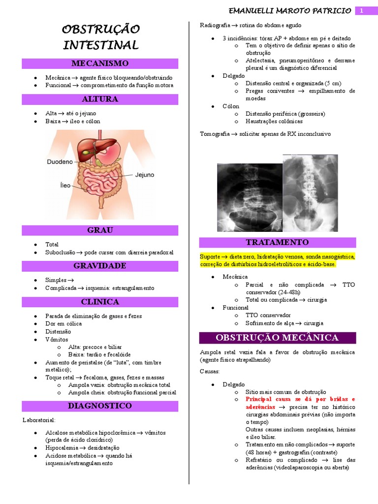 Obstrução Intestinal | PDF | Intestino delgado | Doenças e distúrbios