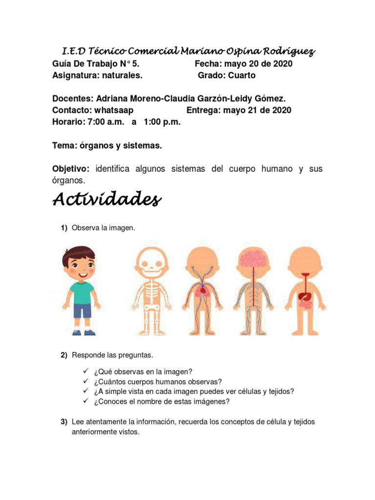 Cuarto Naturales 5 Compressed | PDF | Biología Celular) | Cuerpo humano