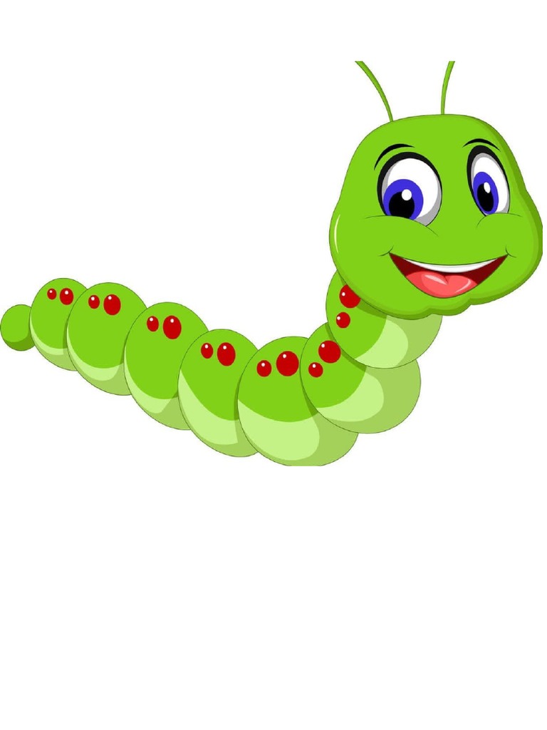 Chenille Et Papillon | PDF