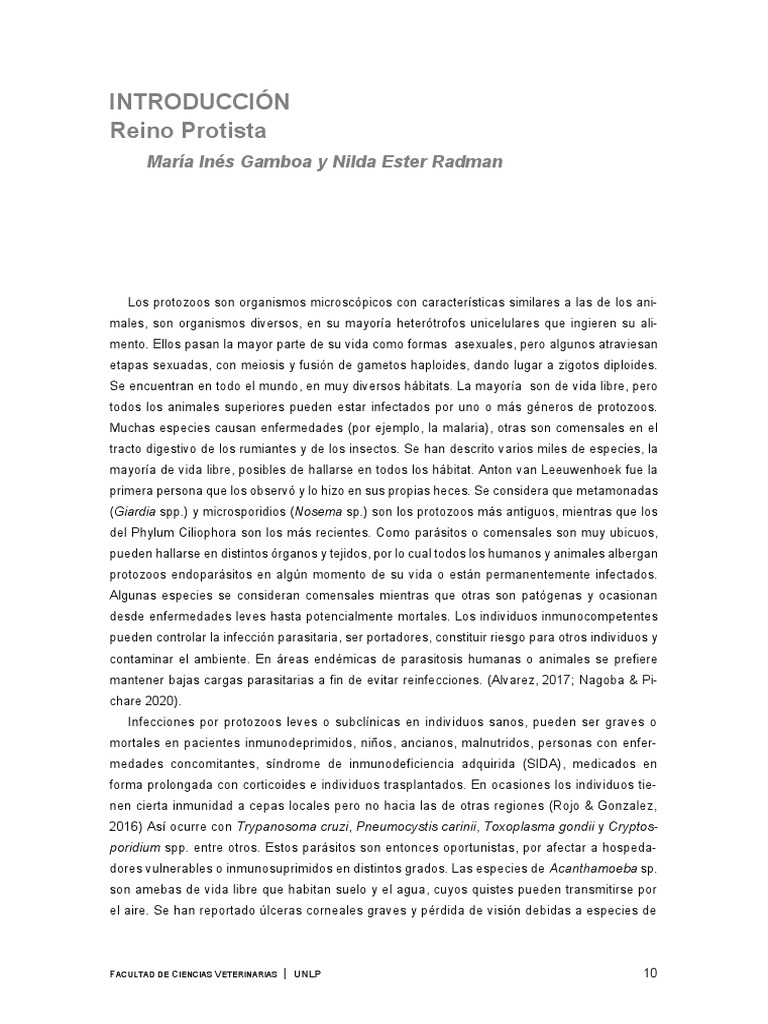 Introducción Reino Protista: María Inés Gamboa y Nilda Ester Radman ...