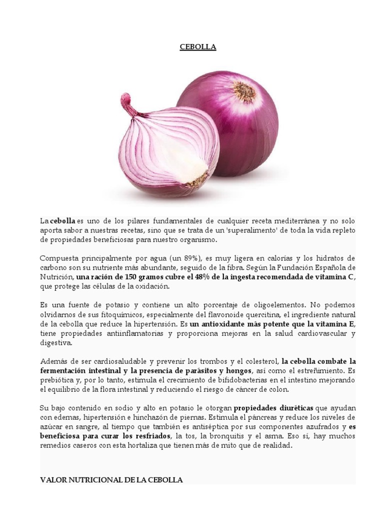 Beneficios y nutrientes de la cebolla | PDF | Nutrición | Dieta y nutrición