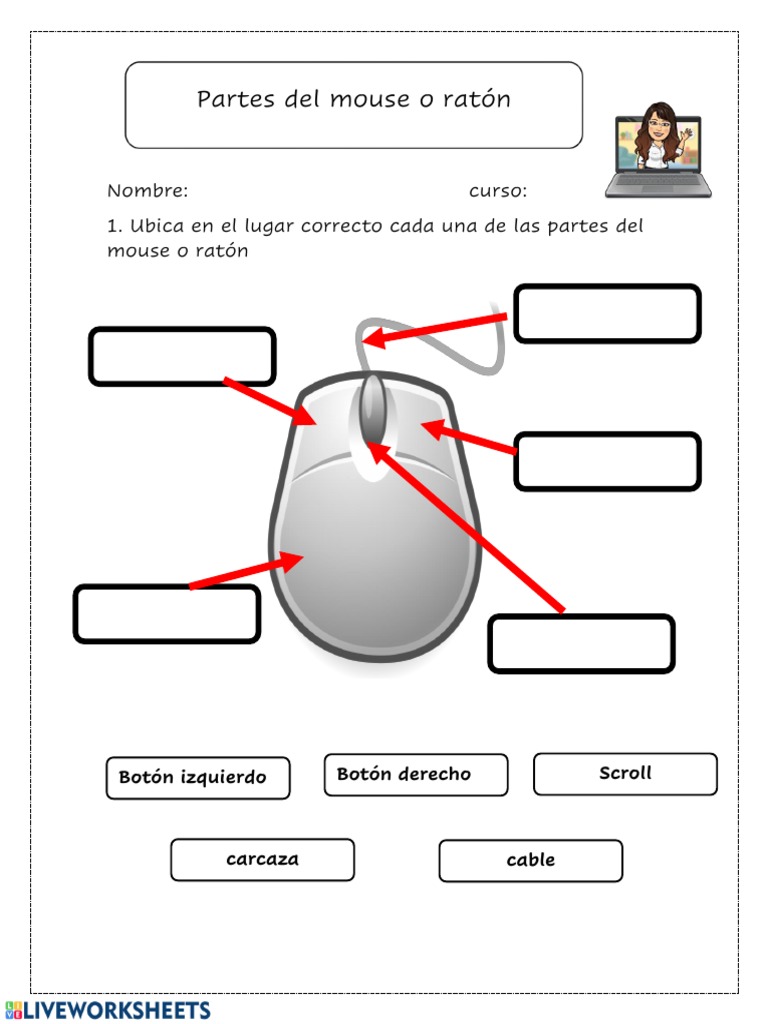Partes Del Mouse o Ratón | PDF