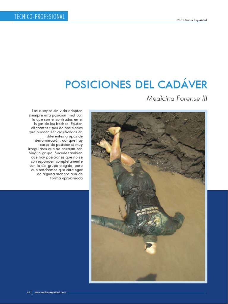 Posiciones cadáveres según forense | PDF | Términos anatómicos de ...