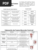 PROTOCOLO EVALUACIÓN FUERZA MUSCULAR - Escala Medical Research Council ...