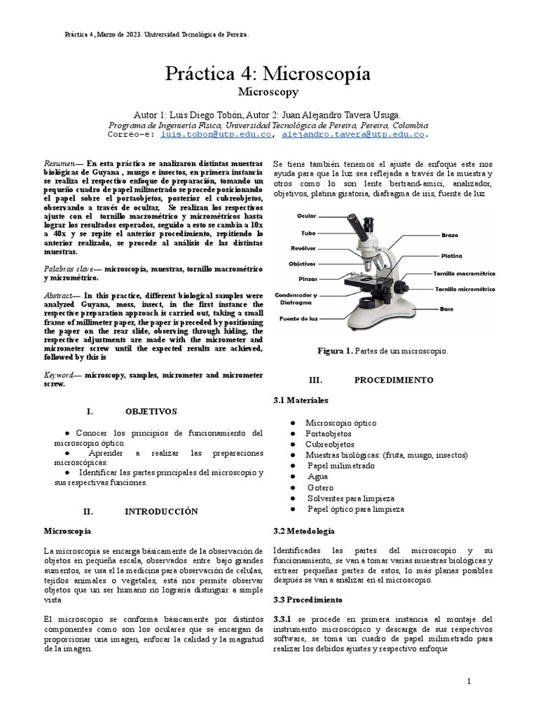 Práctica 4 - Microscopía | PDF | Microscopio | Óptica