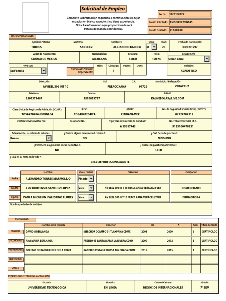 Solicitud de Empleo Elaborada | PDF | México