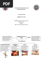 Guía de Sutura Colchonero Horizontal | PDF | Cirugía | Especialidades ...