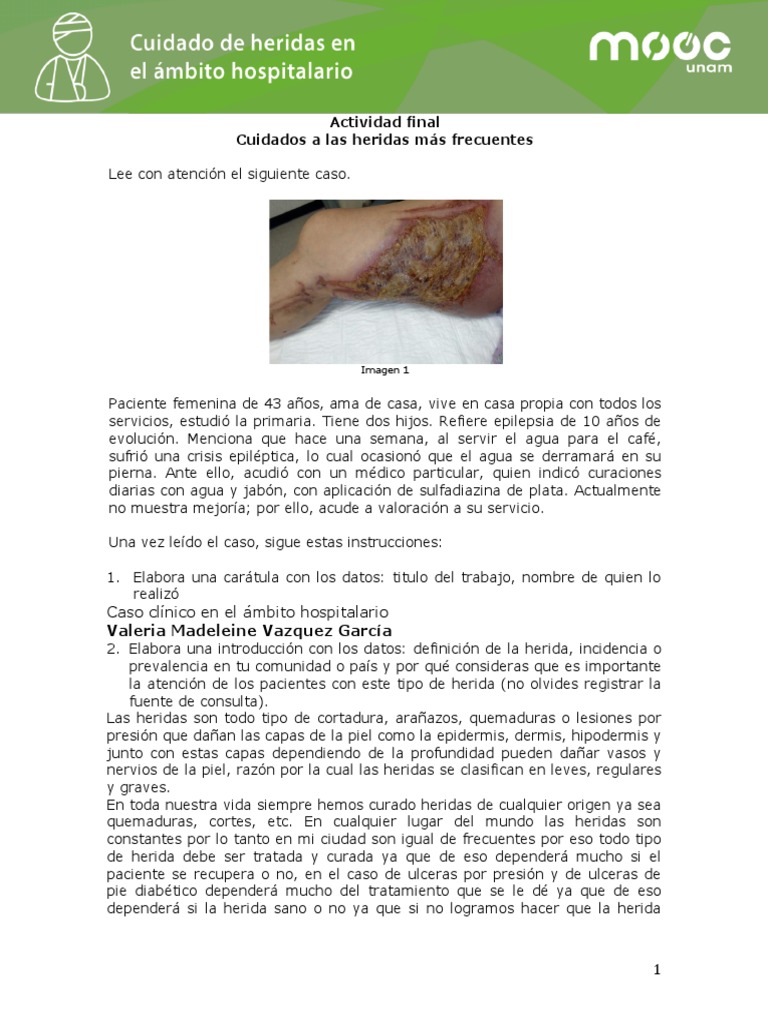 VMVG - Trabajo Final-Heridas | PDF | Herida | Quemar