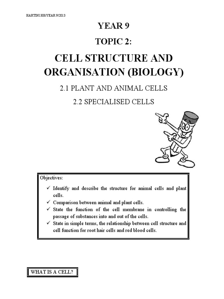 Cell Structure and Organisation (Biology) : Year 9 Topic 2 | PDF | Cell ...