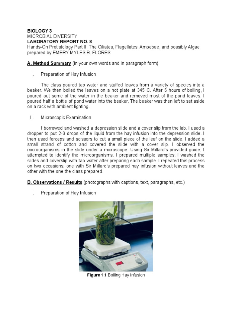 Biology 3 Laboratory Report No. 8: Figure 1.1 Boiling Hay Infusion ...