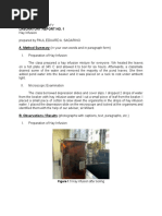 Hay Infusion | PDF | Microorganism | Water