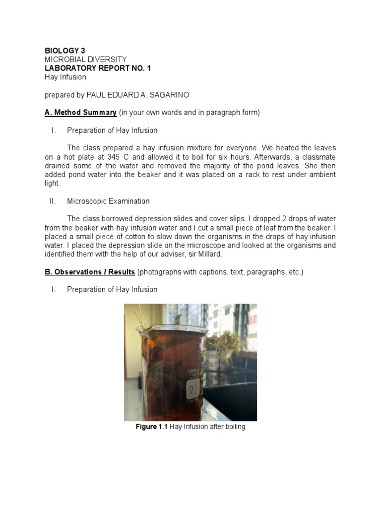 Biology 3 Laboratory Report No. 1: Figure 1.1 Hay Infusion After Boiling | PDF | Protozoa ...