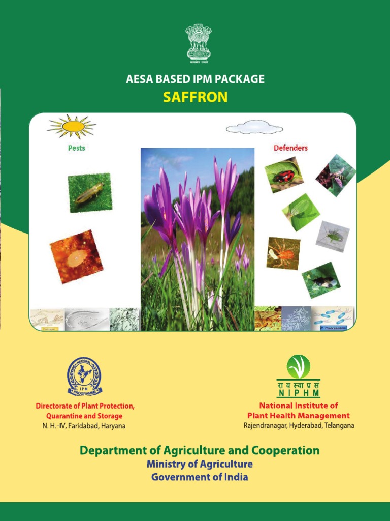 Saffron | PDF | Pest (Organism) | Pesticide