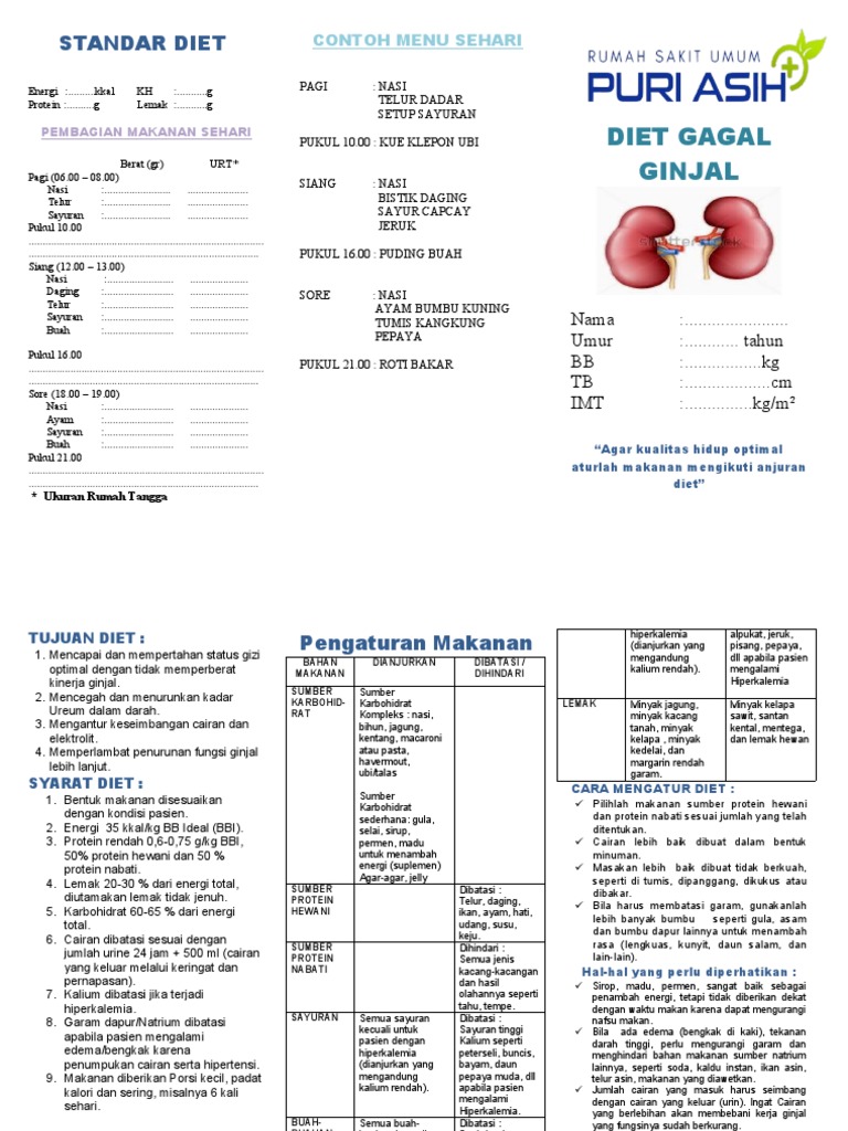 Diet Rendah Protein | PDF