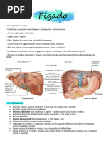 Anatomia Do Figado e Vias Biliares | PDF | Fígado | Anatomia