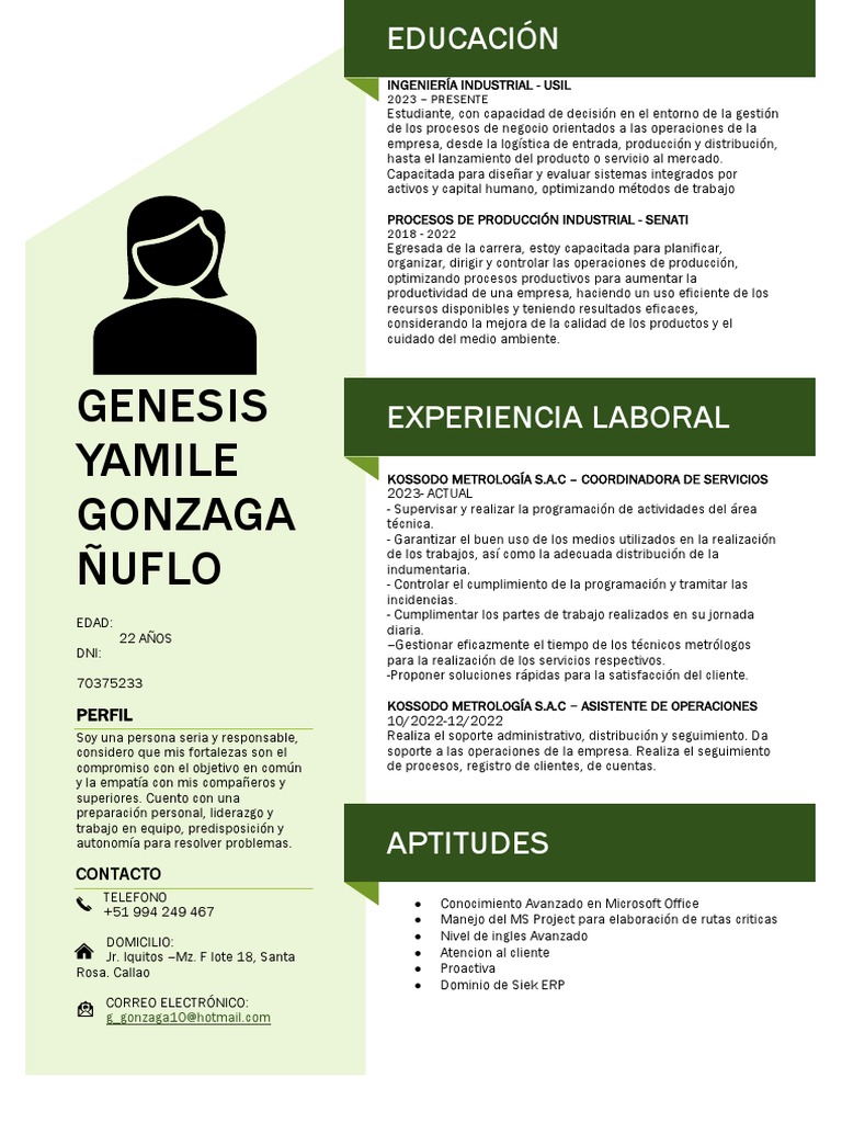 CV Genesis 2023 | PDF | Business | Economias