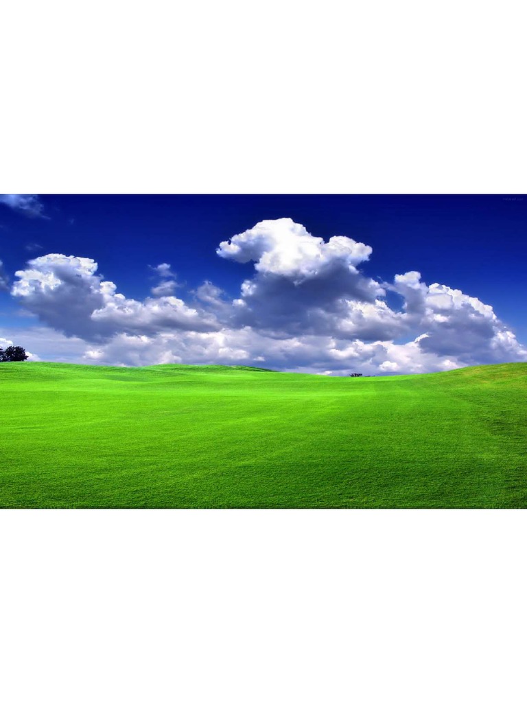 2-nature-wallpaper-grass | PDF