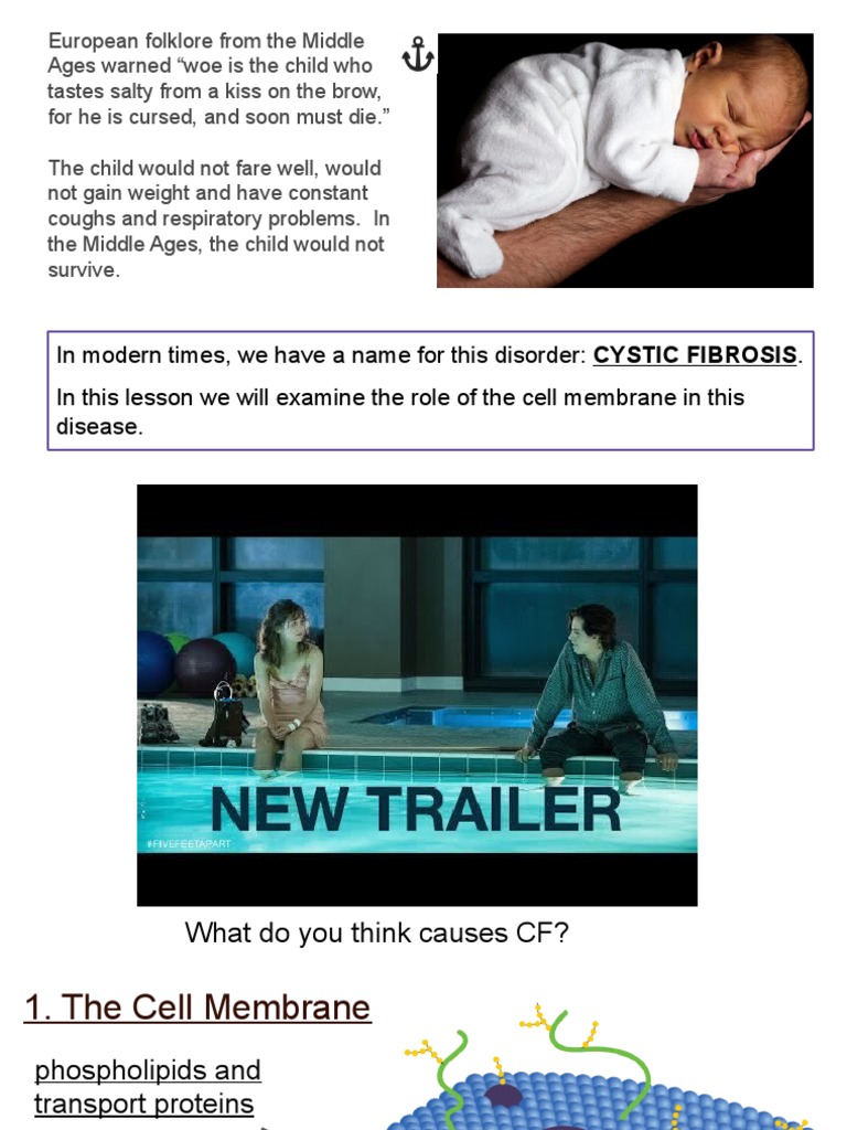 02 Cell Membrane and Transport | Download Free PDF | Cell Membrane ...