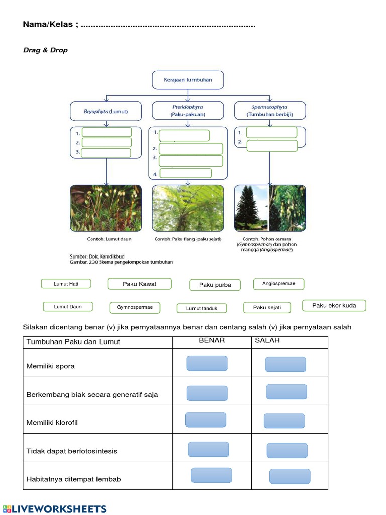 1st Worksheet X MIA 5 | PDF
