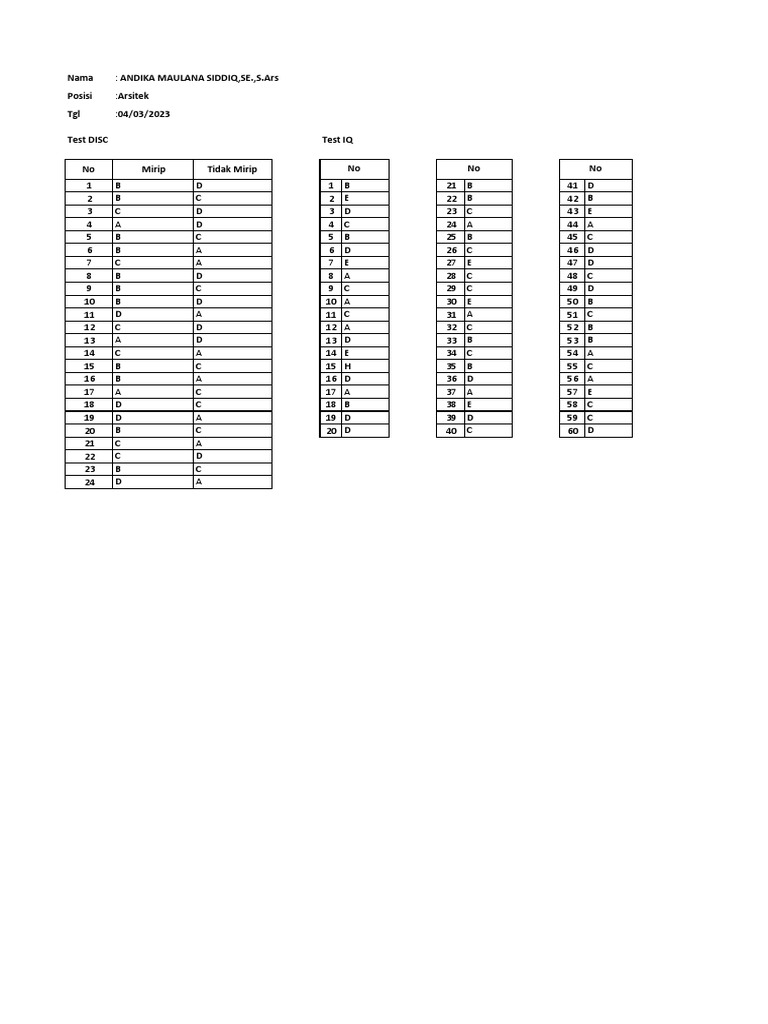 Profil dan Hasil Tes DISC dan IQ Andika Maulana Siddiq | PDF