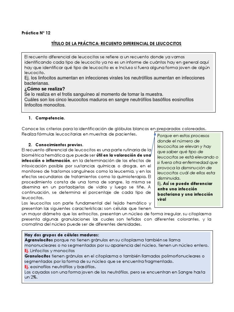 Práctica 12 RECUENTO DIFERENCIAL DE LEUCOCITOS | PDF | Leucocito | Biología