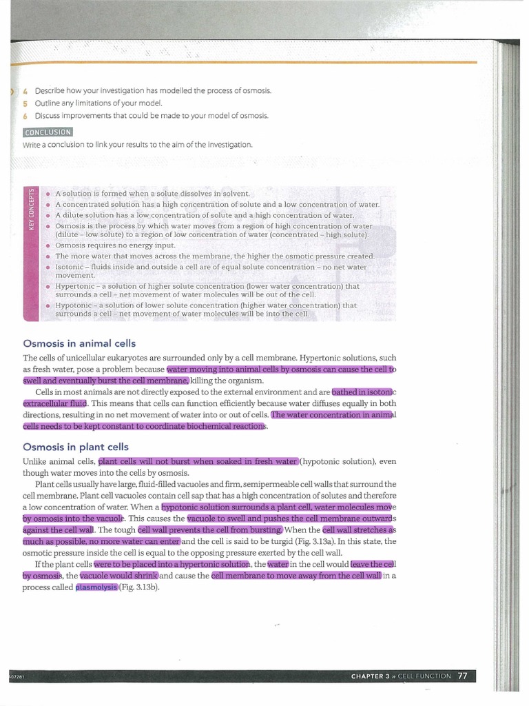 Osmosis in Plant & Animal Cells | PDF | Osmosis | Applied And ...