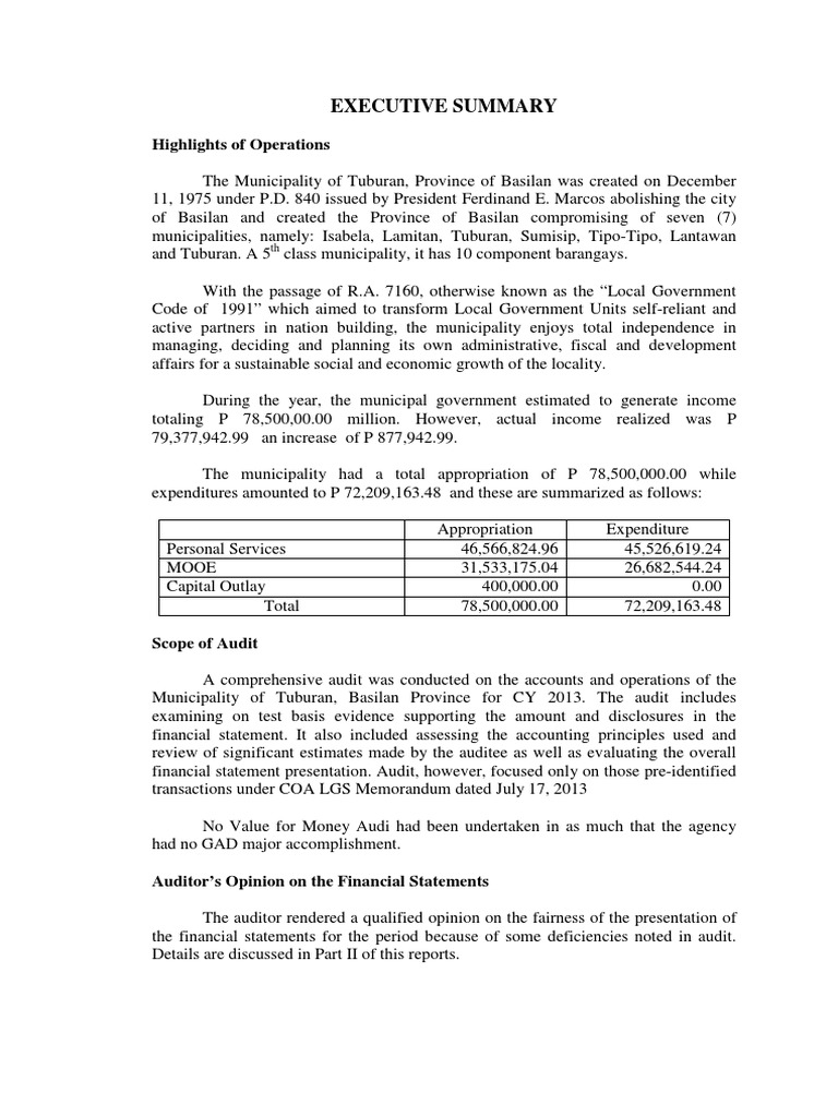 Executive Summary: Highlights of Operations | PDF | Taxes | Audit