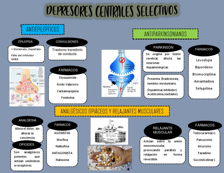Infografia Depresores Centrales Selectivos | PDF | Analgésico ...