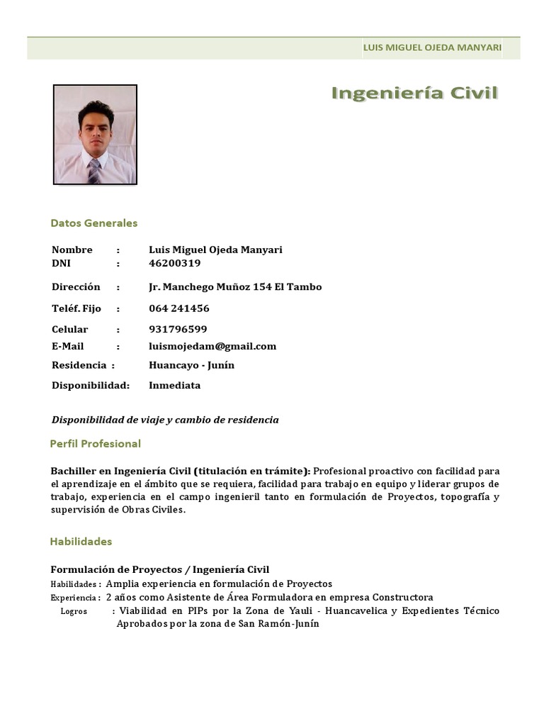 CV - Luis Ojeda Manyari | Descargar gratis PDF | Ingeniero civil | Ingeniería