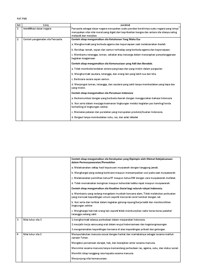 PAT PKN | PDF