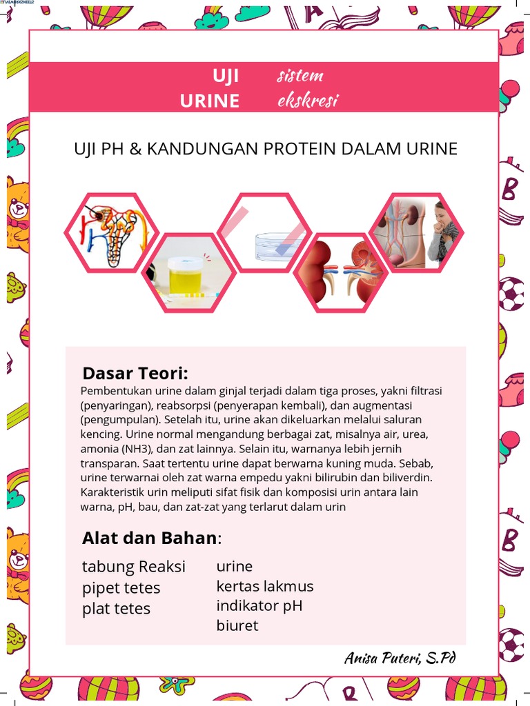 LKPD Uji Urine | PDF