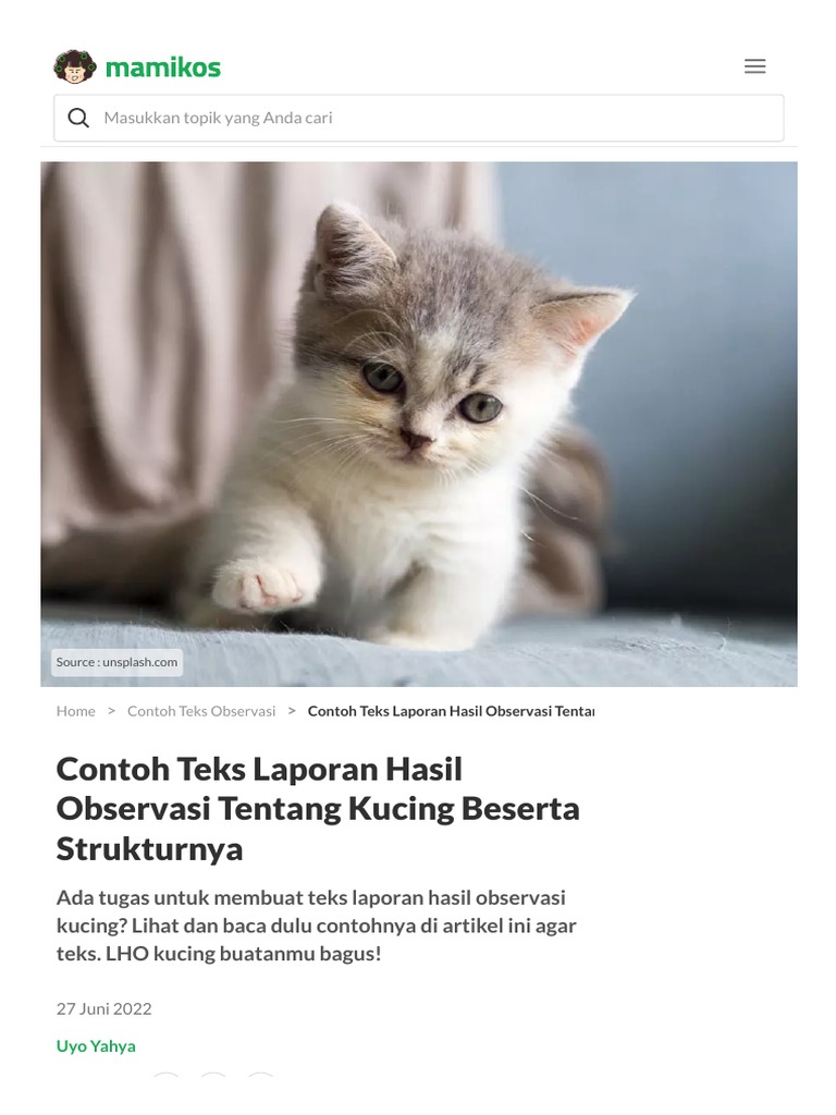 Contoh Teks Laporan Hasil Observasi Tentang Kucing Beserta Strukturnya ...
