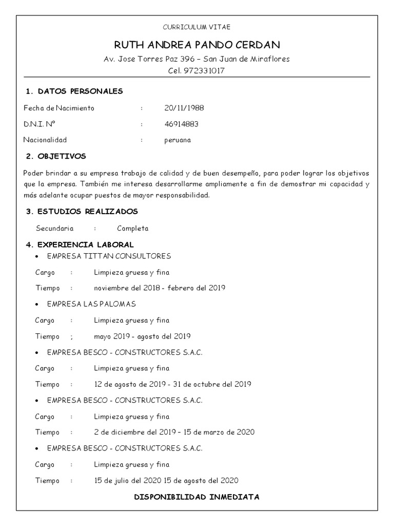 Modelo CV | PDF