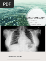 Cardiovascular Examination - OSCE Guide - Geeky Medics | PDF | Pulse ...