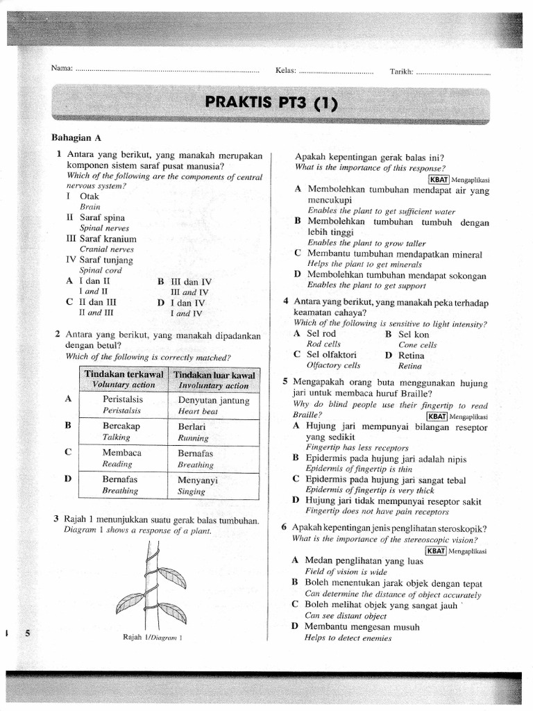 Praktis PT3 | PDF