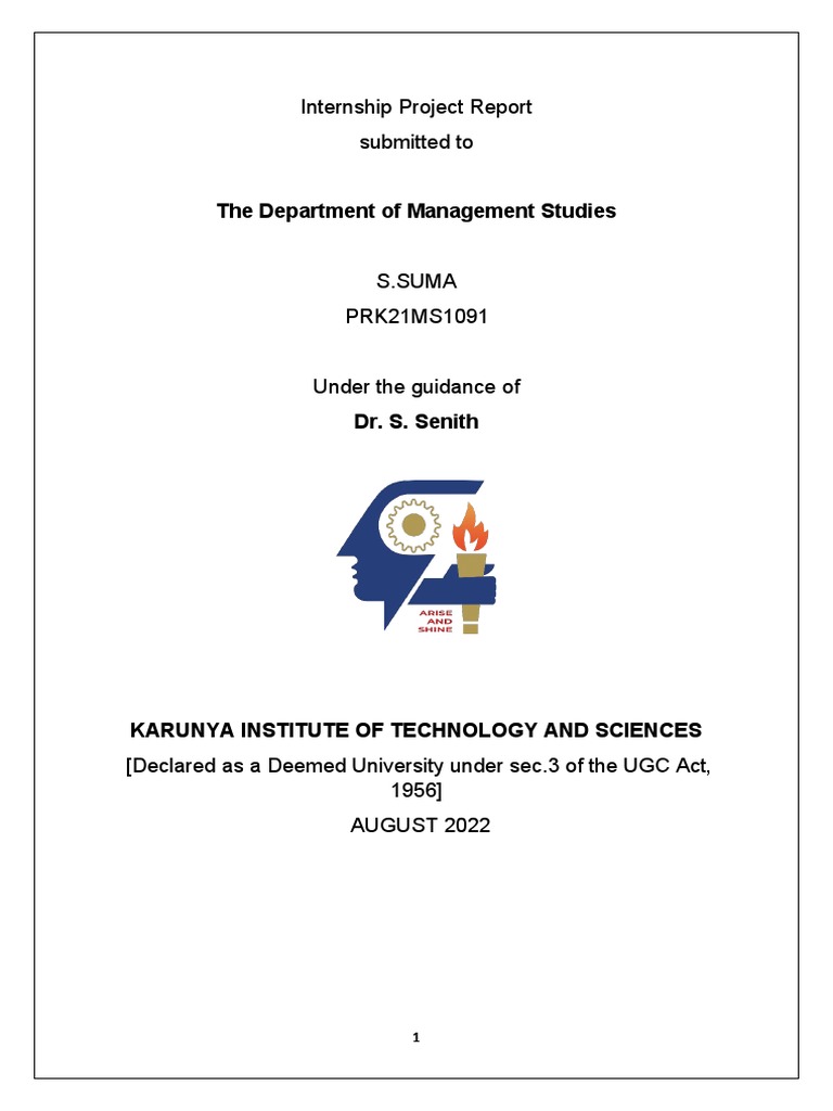 Internship Report PRK21MS1091 | PDF | Search Engine Optimization | Digital Marketing