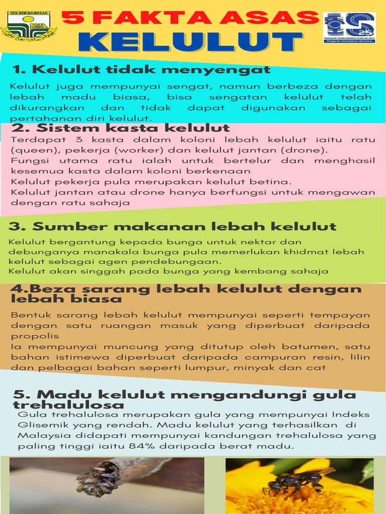 5 Fakta Asas Kelulut | PDF