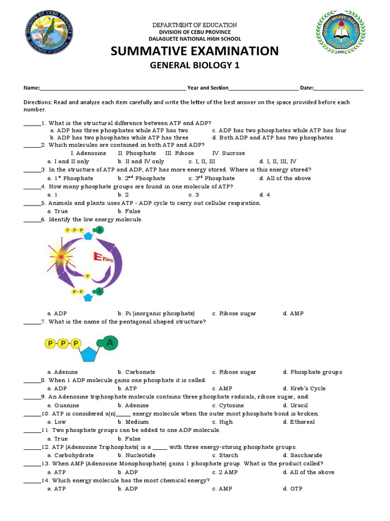 Summative Exam GEN - BIO 1 | PDF | Photosynthesis | Adenosine Diphosphate