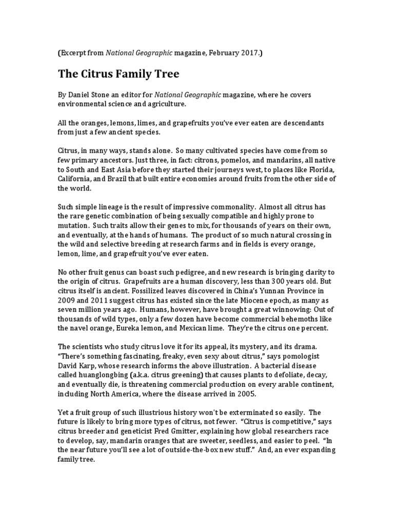 The Citrus Family Tree | PDF | Citrus | Orange (Fruit)