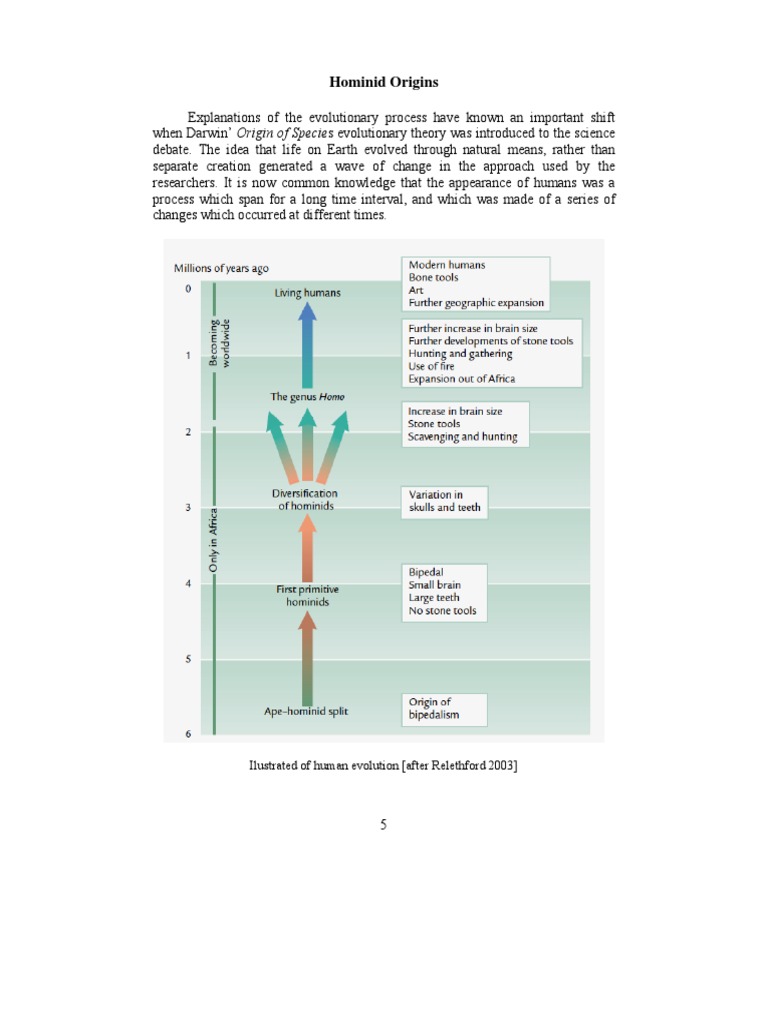 Curs - I.1103 - World Prehistory | PDF | Homo | Hominidae