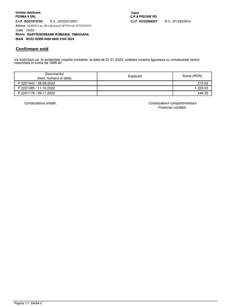 Confirmare Sold | PDF