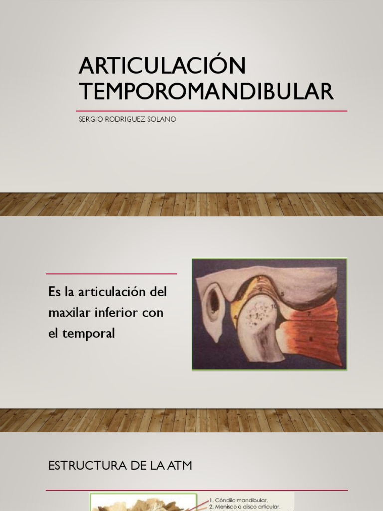 Articulacion Temporomandibular | PDF | Arte